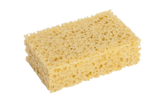 Car sponge Natura (Bulk) - GLORIA